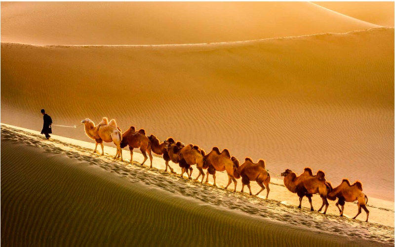 Journeying Through Legends and Myths: Unveiling Cultural and Historical ...