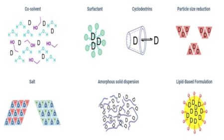 The 4 Study Purposes of Preclinical Formulation in Drug Development ...